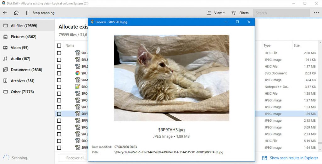 Zar x recovery review - aslhongkong