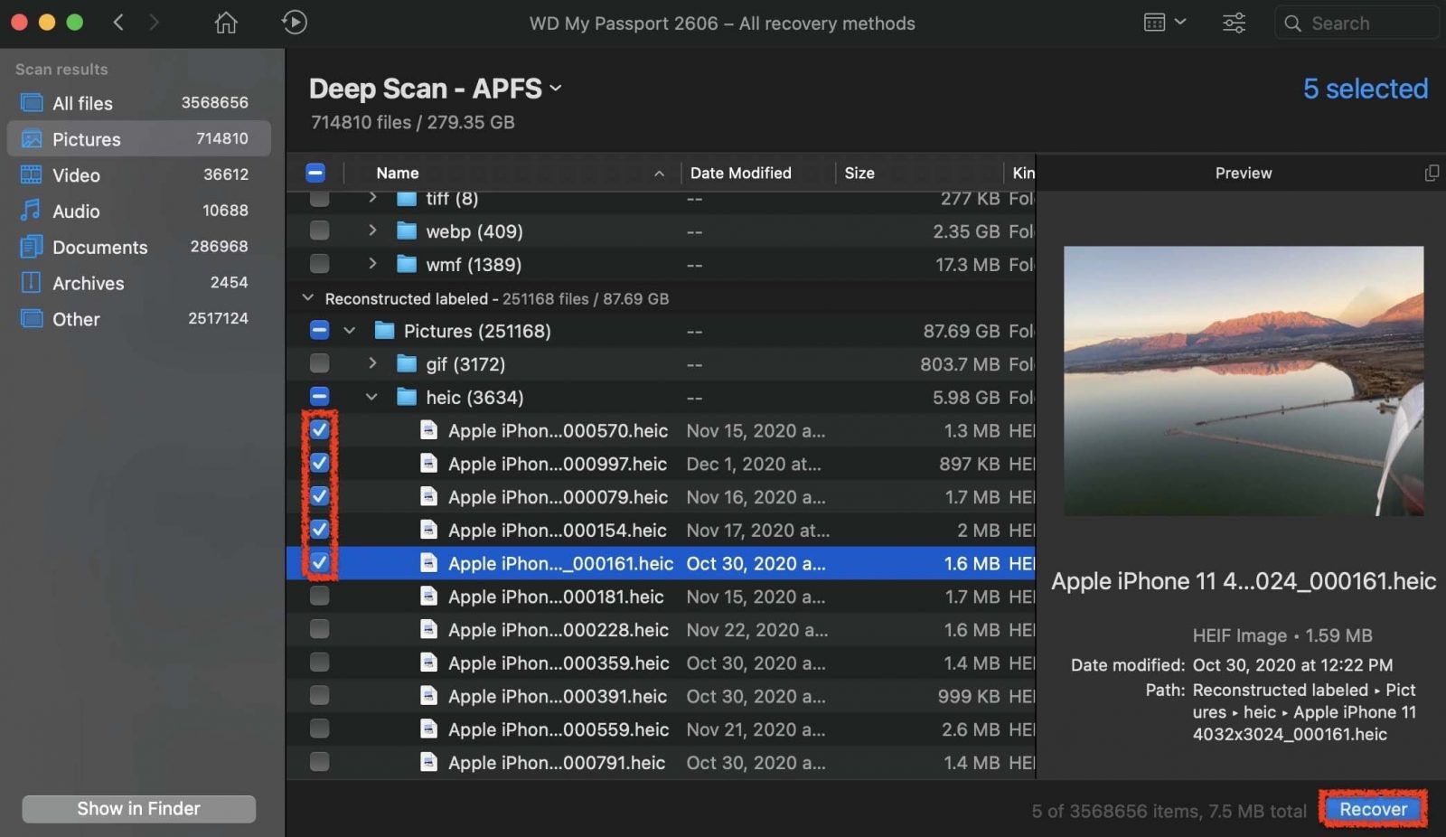 How to Recover Deleted Files Using Mac Terminal (2024)