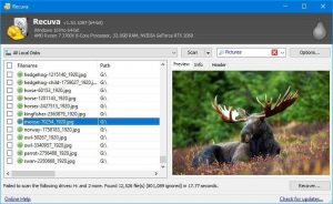Top 5 Best Alternatives to EaseUS Data Recovery for Windows in 2021