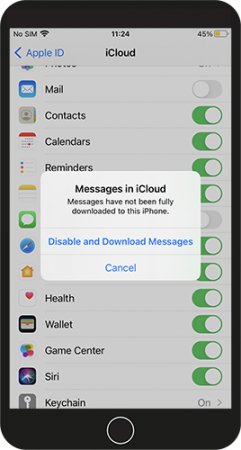How to Retrieve Deleted Text Messages on iPhone (2024)