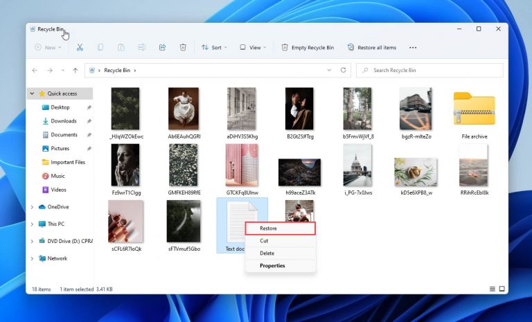 How to Recover Deleted Files on Windows 11 For FREE