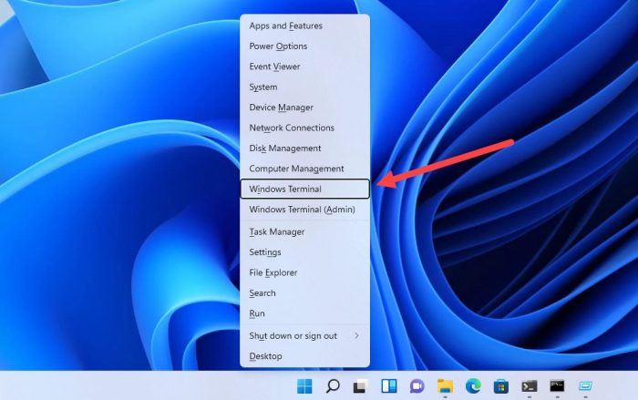 How to Recover Deleted Files on Windows 11 For FREE