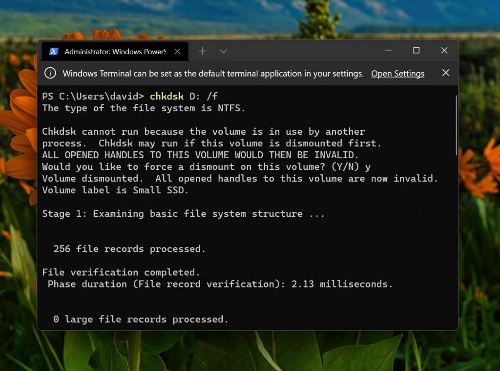 xD Card Recovery: Recover Deleted Files From xD-Picture Cards (2025)