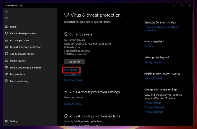 How to Recover Data From a Virus-infected Computer (2025)
