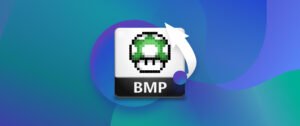BMP File Recovery: How to Recover Deleted Bitmap Image Files (2025)