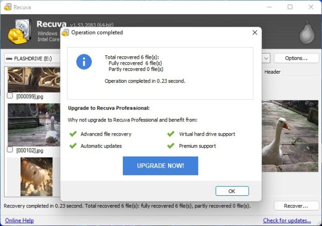 How to Recover Quick-Formatted Drive for FREE (2025)