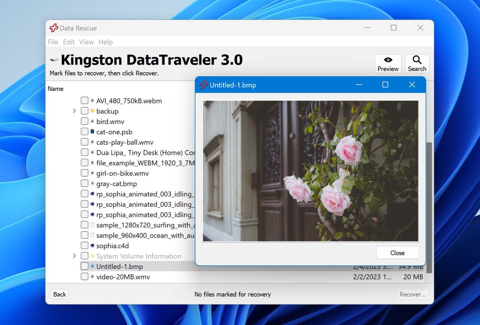 10 Best Data Recovery Software for Early 2025 (Including FREE)