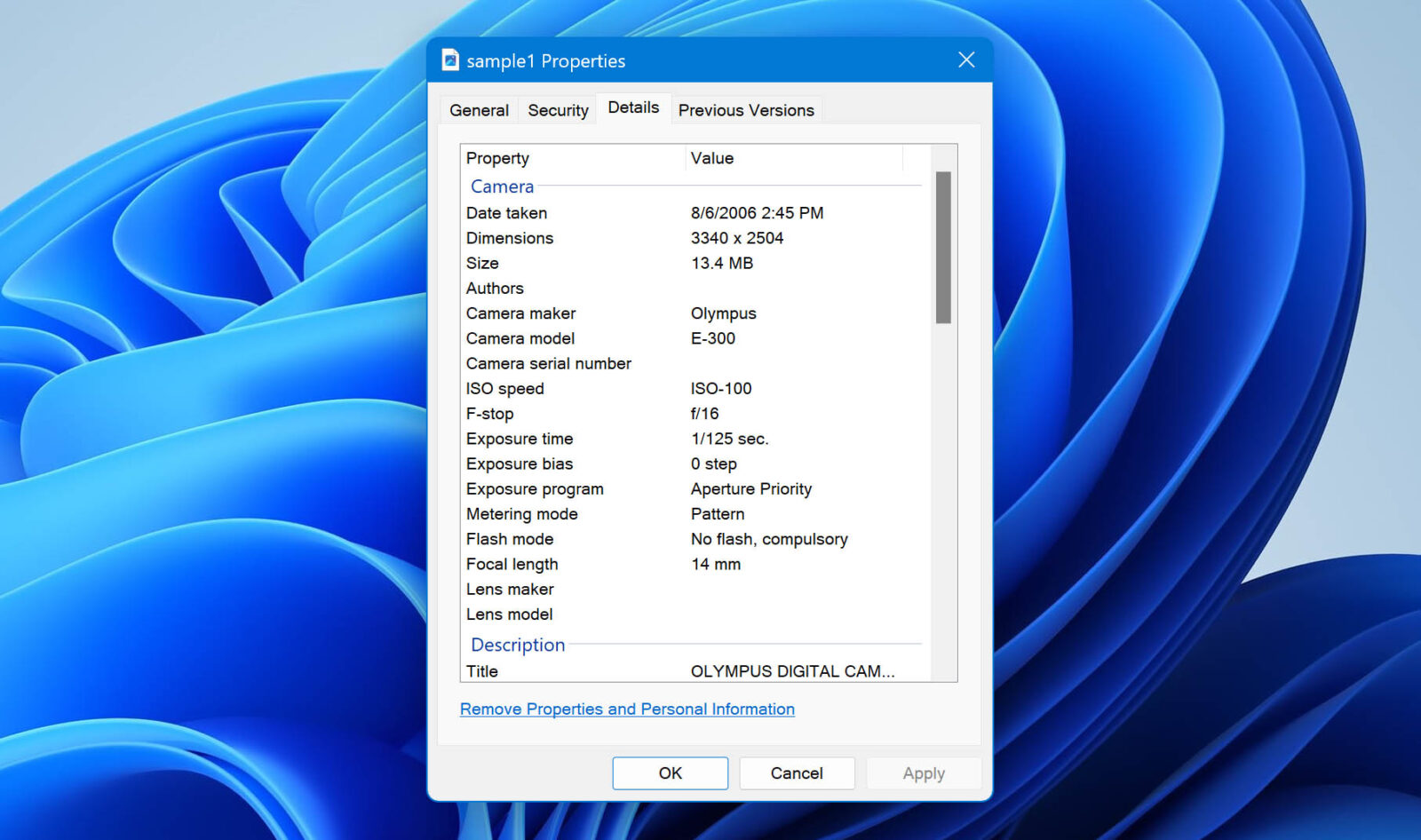 ORF File Recovery: How to Recover Deleted Olympus RAW Photo