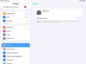 How to Clear 'Other' Storage on an iPad in a Few Easy Steps