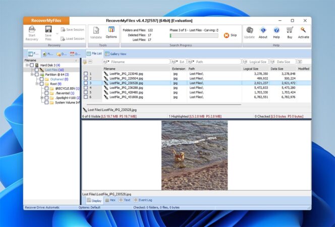 Top 10 Best SD Card Recovery Software to Try (Including FREE)
