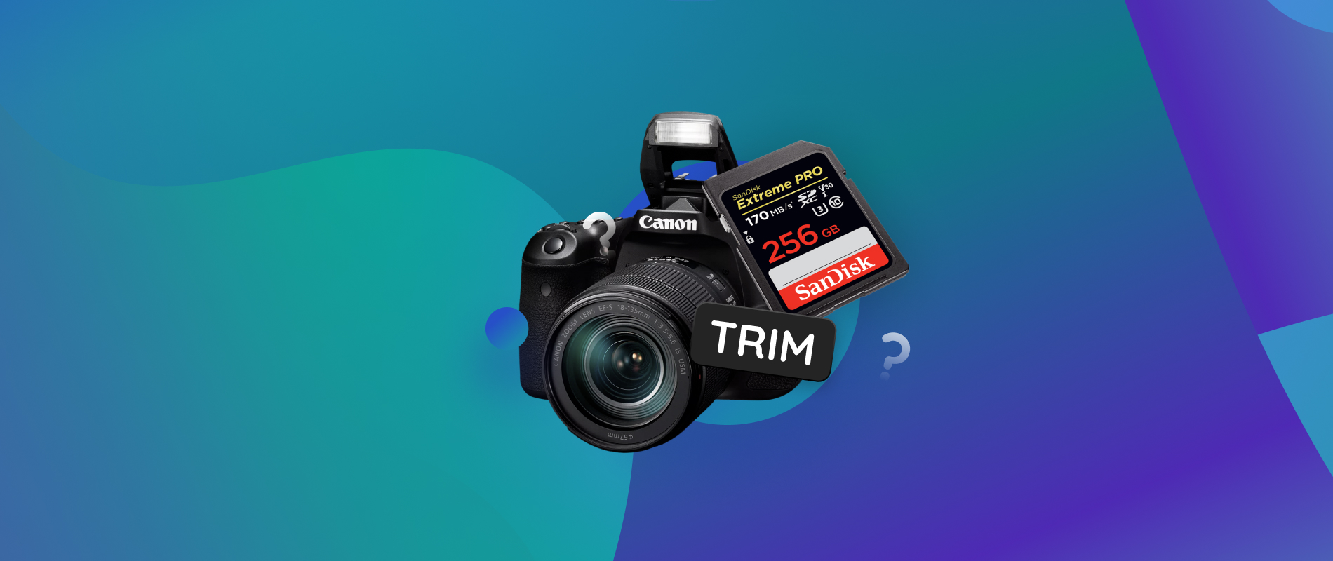 Do Cameras Use TRIM Technology? Exploring TRIM in Cameras
