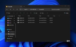 CHK File Recovery: How to Recover CHK Files