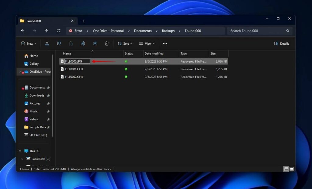 CHK File Recovery: How to Recover CHK Files