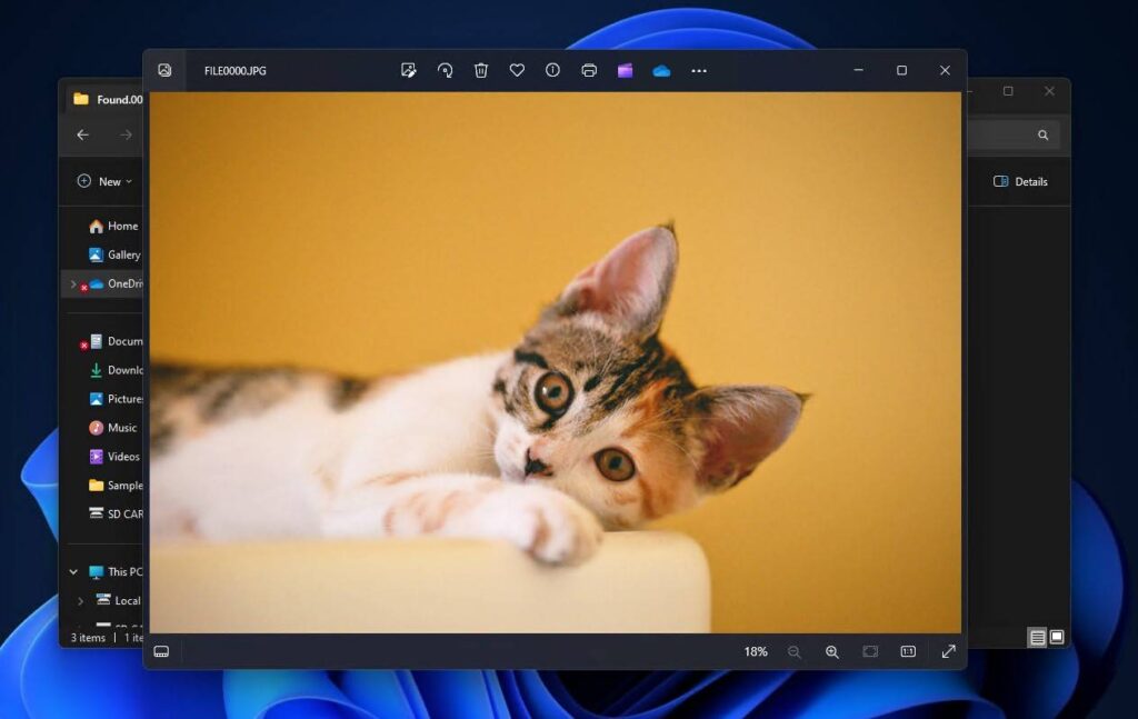 CHK File Recovery: How to Recover CHK Files