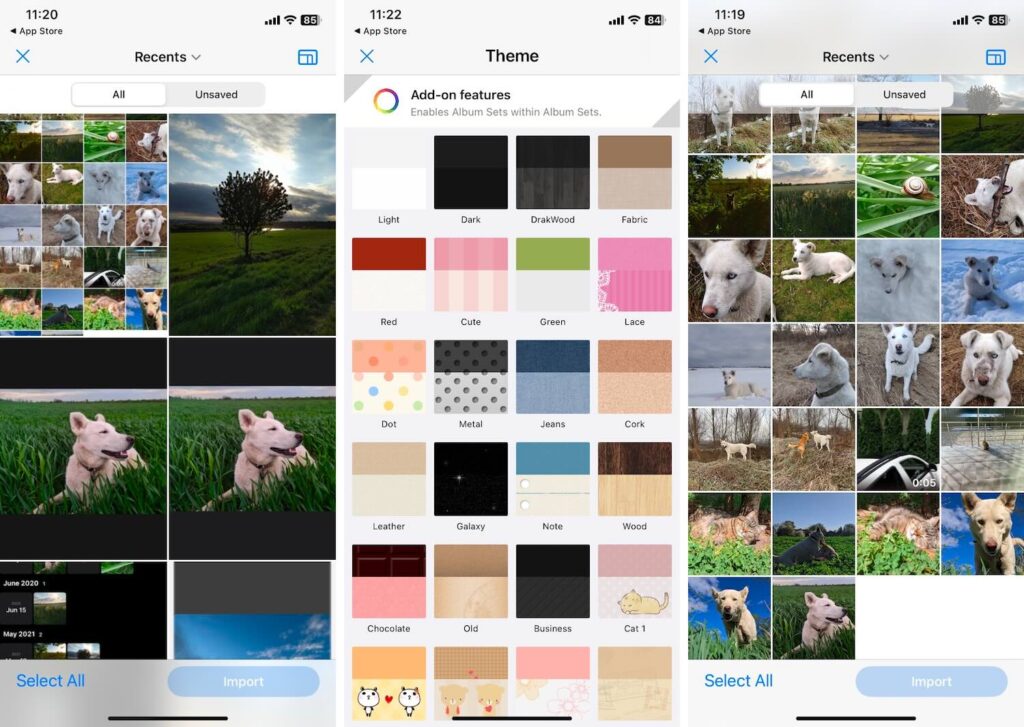 10 Best Photo Organizer Apps for iPhone Reviewed (2025)