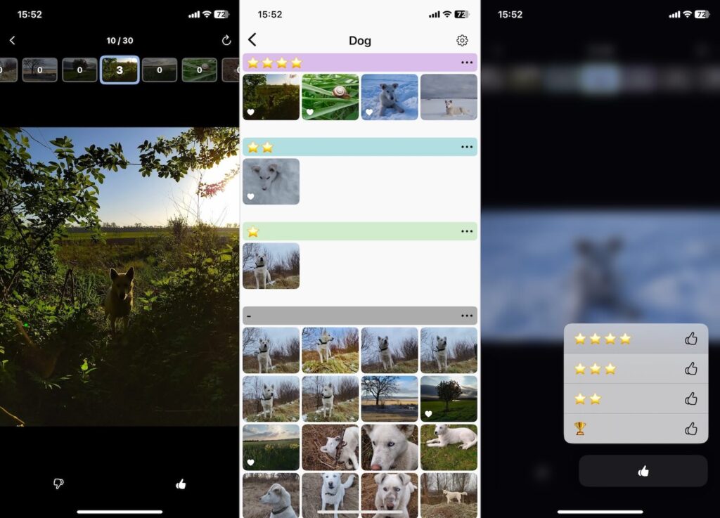 10 Best Photo Organizer Apps for iPhone Reviewed (2025)