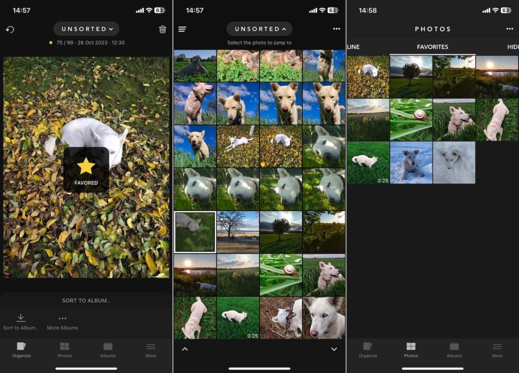 10 Best Photo Organizer Apps for iPhone Reviewed (2025)