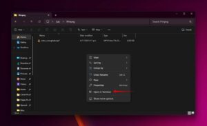 How to Repair Corrupted MP4 Video Files Using FFmpeg Method