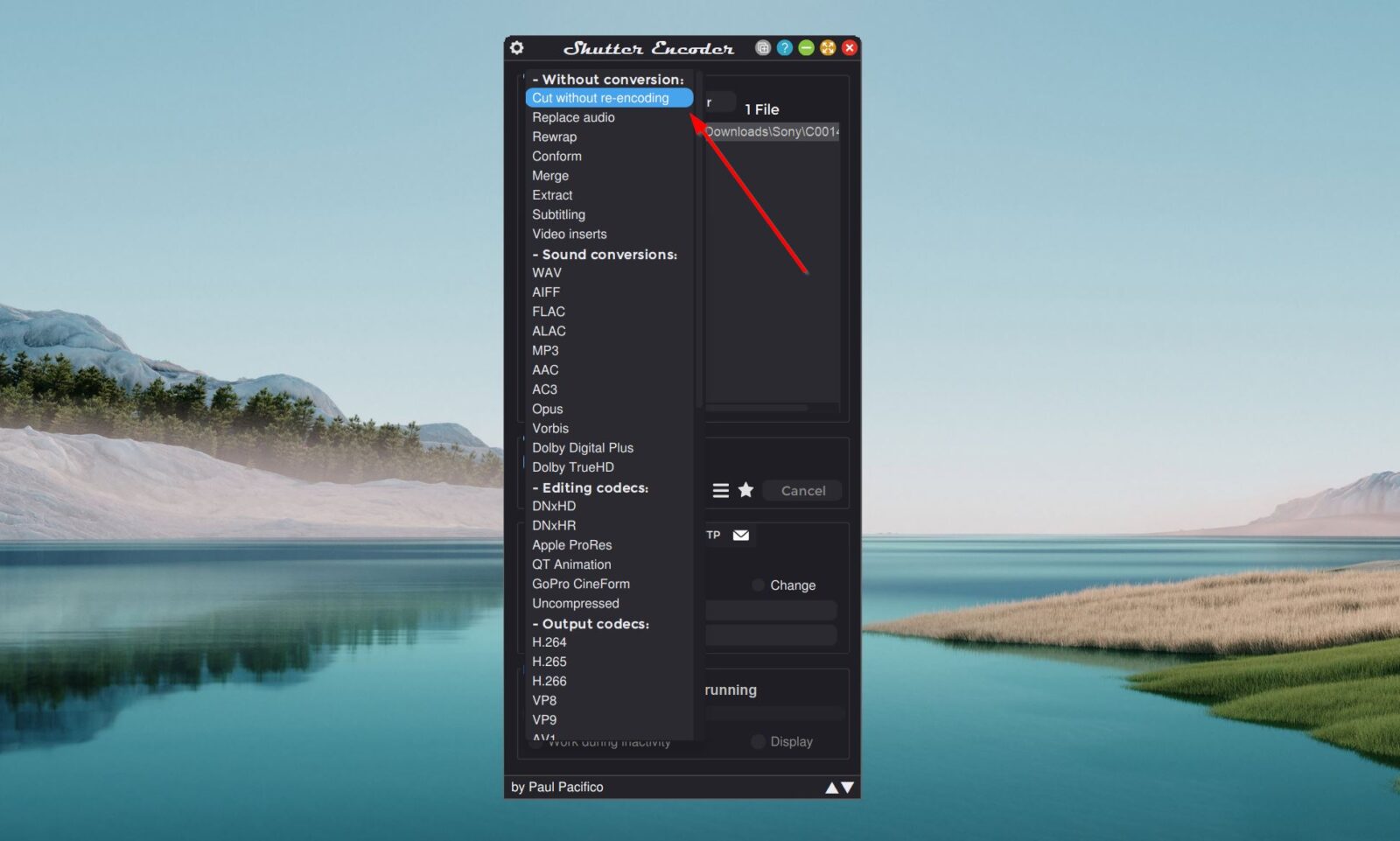How to Repair Corrupted Video Files from Sony Cameras - Handy Recovery ...